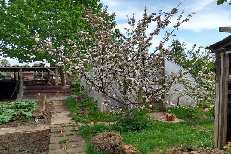 Find help - Manchester Mind