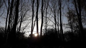 Manchester Mind - Independent local mental health charity