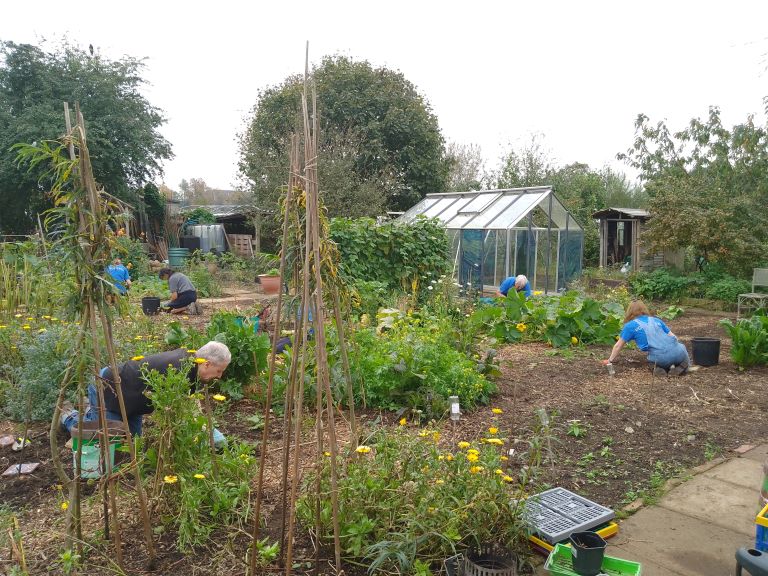 Volunteering - Manchester Mind